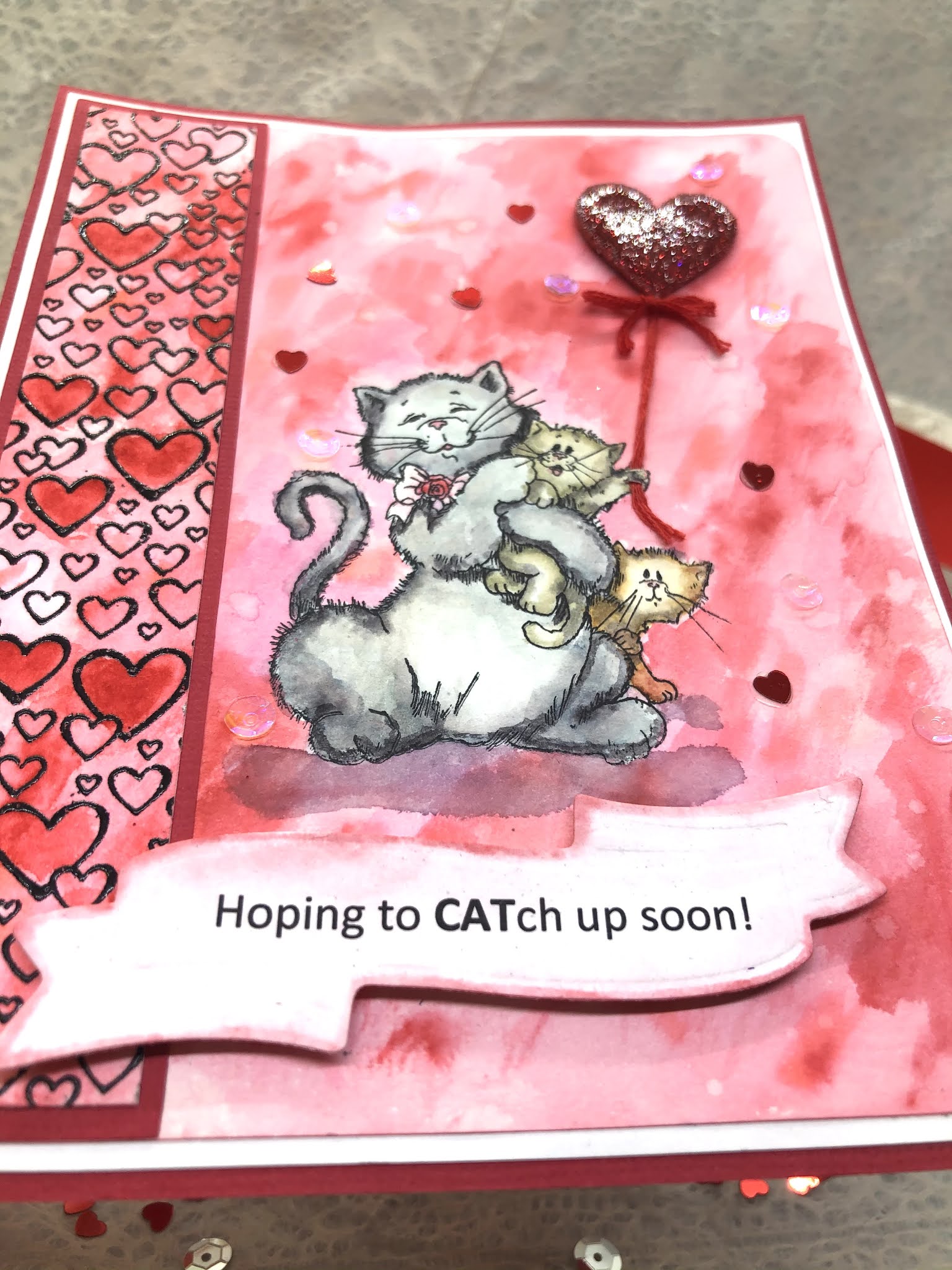 Blank Page Muse: A Lovable Cat Card