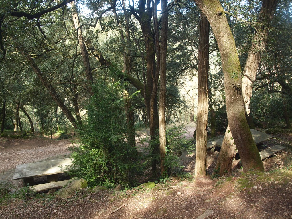 SOM DE PÍCNIC: Àrea de pícnic Font Fresca, Aiguafreda, Vallès Oriental