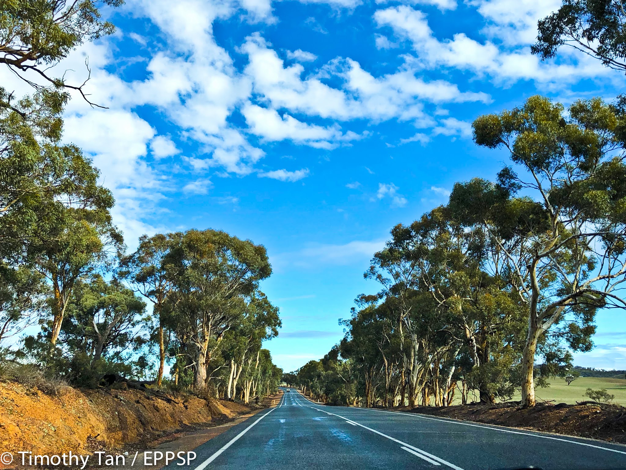 Bucket List: Long Drive on Country Roads