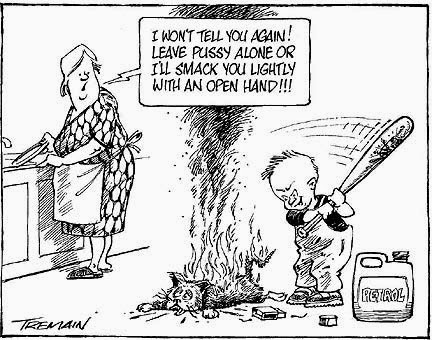 PREMIÈRE SECTION EUROPÉENNE DNL History & Geography: Council of Europe ...