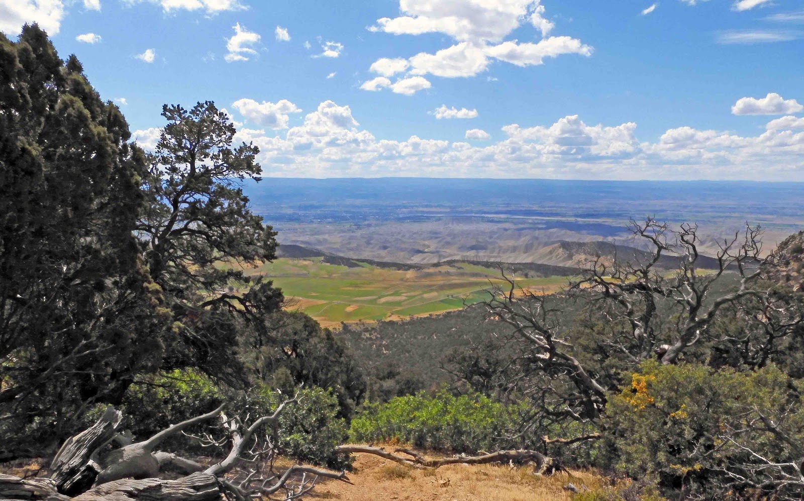 Cat Patches: Black Canyon of the Gunnison National Park