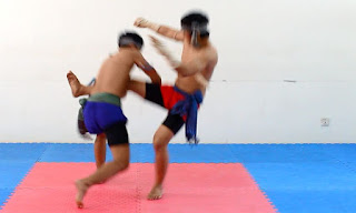 Bokator Training Course: Training Technique of Bokator Martial arts ...