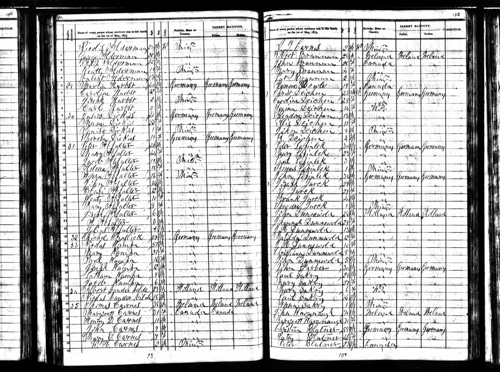 Climbing the Family Tree