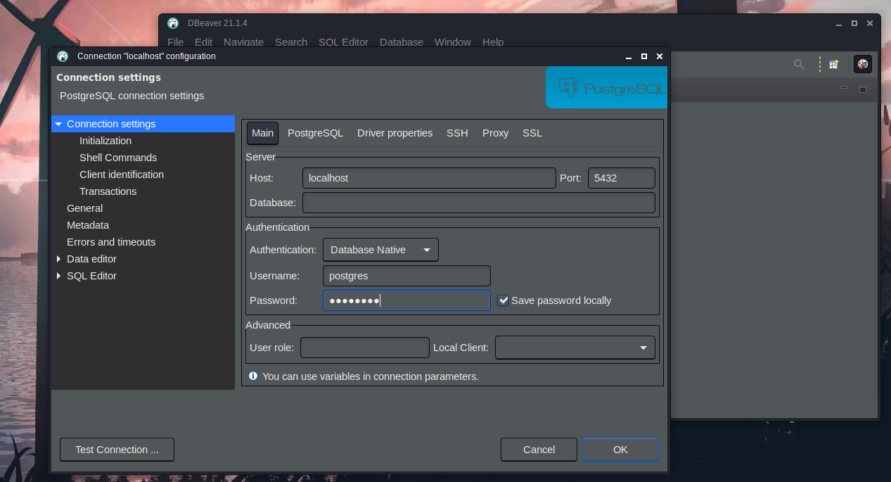 Apa itu DBeaver? Cara mudah Instalasi DBeaver