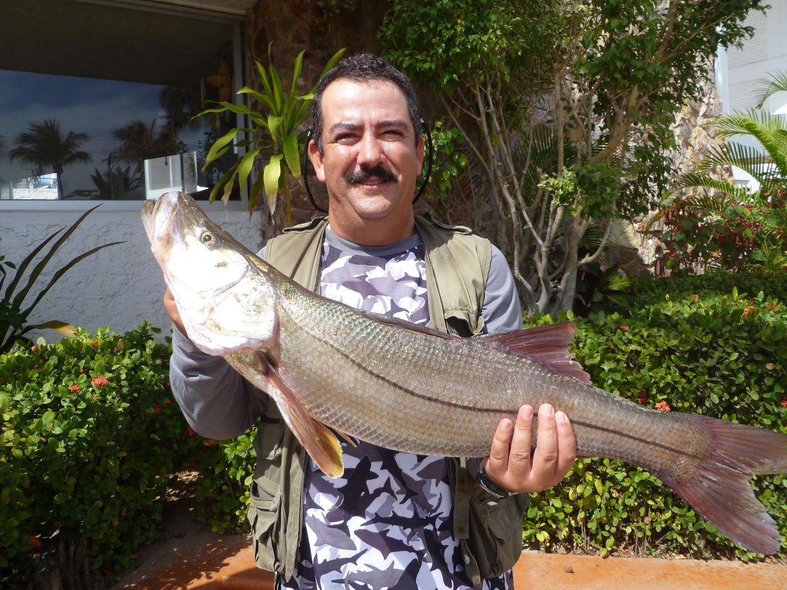 Mile14: Can I borrow that Fish