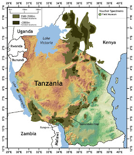 Species New to Science: [Mammalogy • 2006] Kipunji | Rungwecebus ...