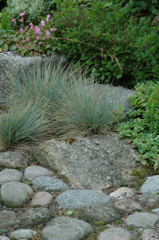 HAVETID: Sten og planter.