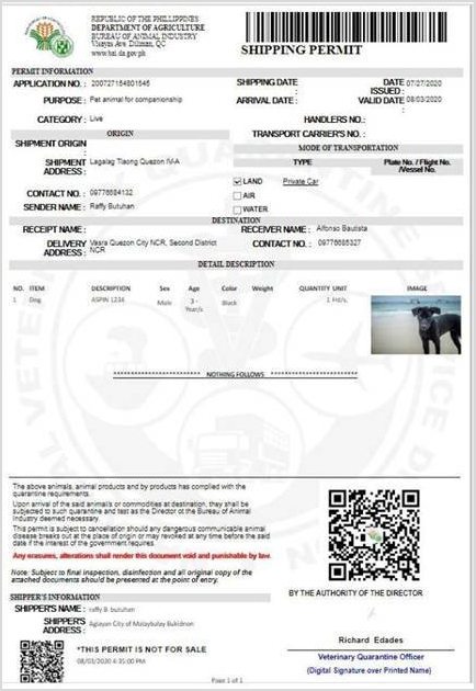 Local Shipping Permitの申請はオンライン必須なのか？-フィリピンから日本へ猫を輸入した体験記