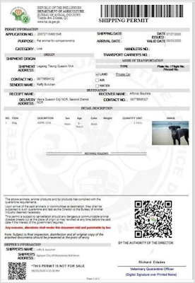 Local Shipping Permitの申請はオンライン必須なのか？-フィリピンから日本へ猫を輸入した体験記