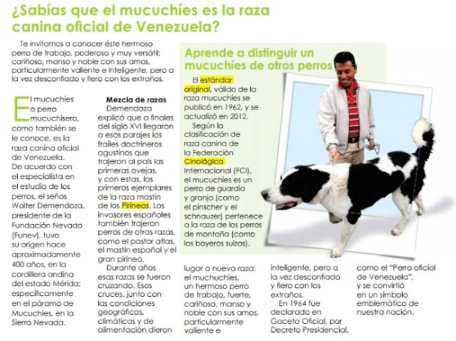 * CLUB CANINO DEL ESTADO ARAGUA *: Perro mucuchíes: Raza canina oficial ...