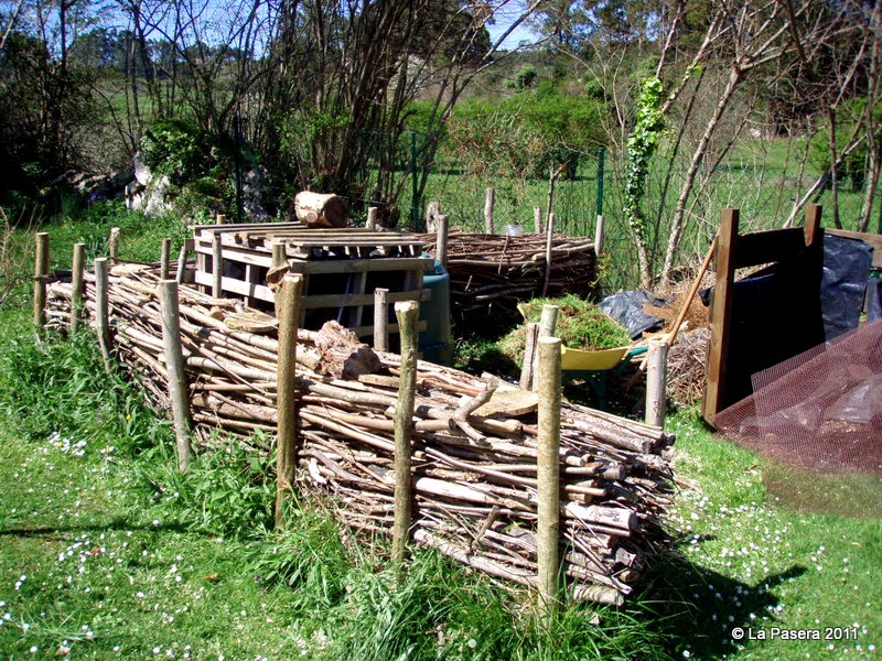 Dominic Shed: Build a shed using tree limbs