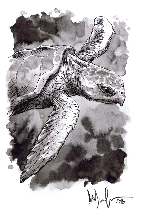 DaveDrawsComics: The Blog!: Progressive inspiration series #6: Kemp's ...