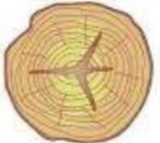 CivilEngZone : Think big,We do.: Timber-structure,seasoning,types of ...