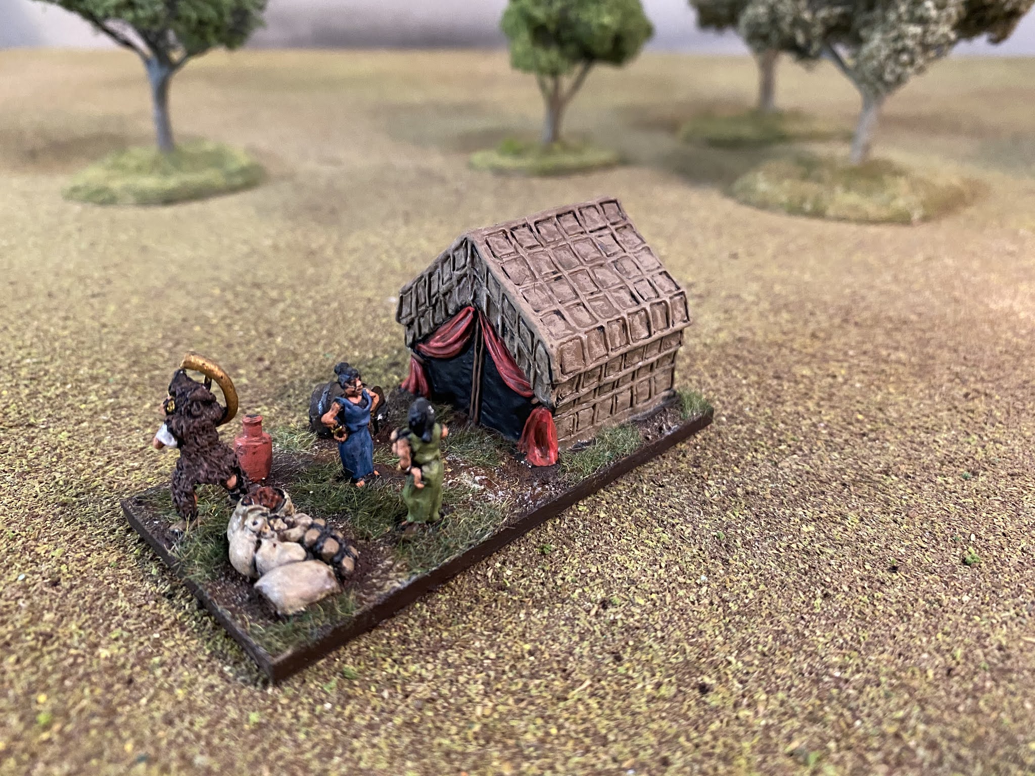 This Life in Lead: 15mm DBMM Camps