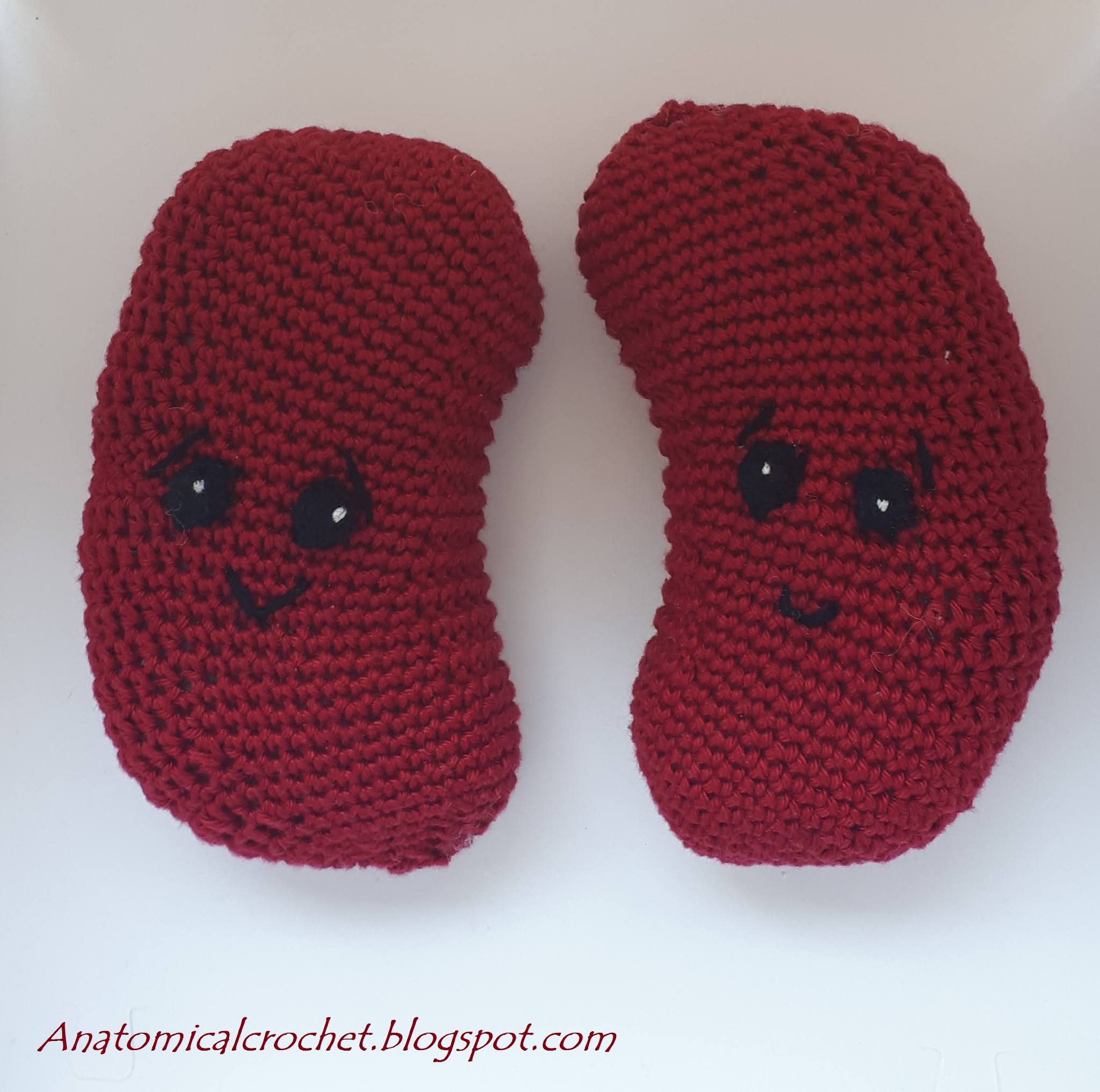 Adventures into Anatomical Crochet: Kidneys