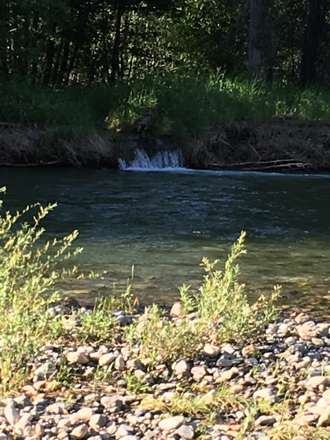 All This Is That: Methow River