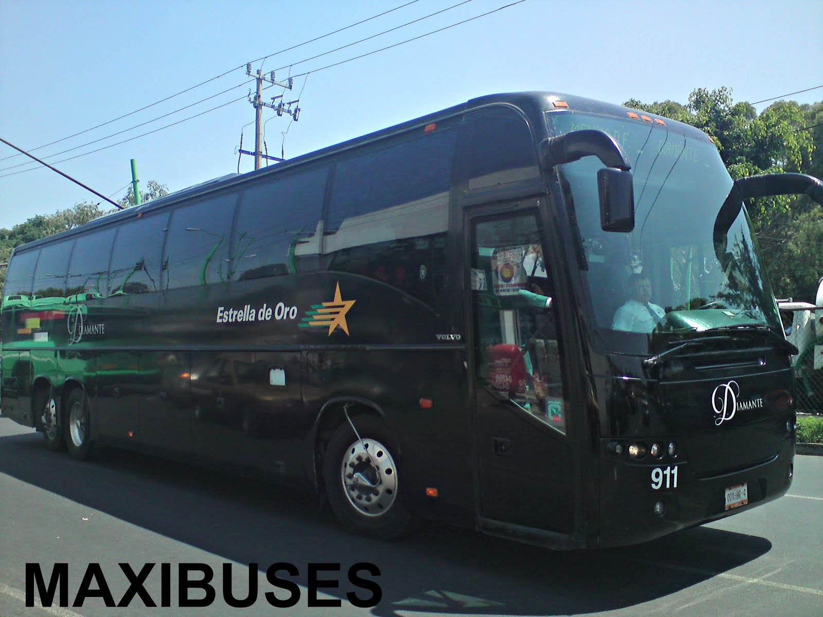 MAXIBUSES: ESTRELLA DE ORO DIAMANTE