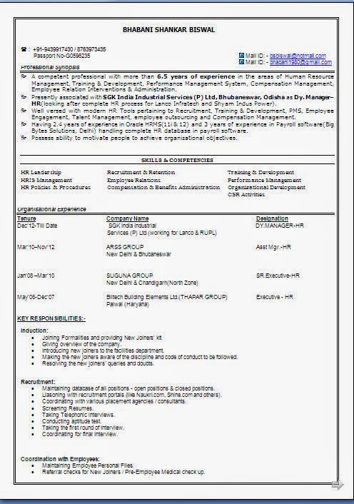 cv example south africa