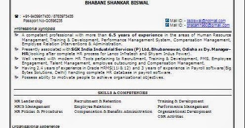 cv example south africa