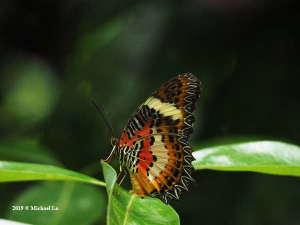 The rainforests of Borneo & Southeast Asia: Visiting Baram river basin ...