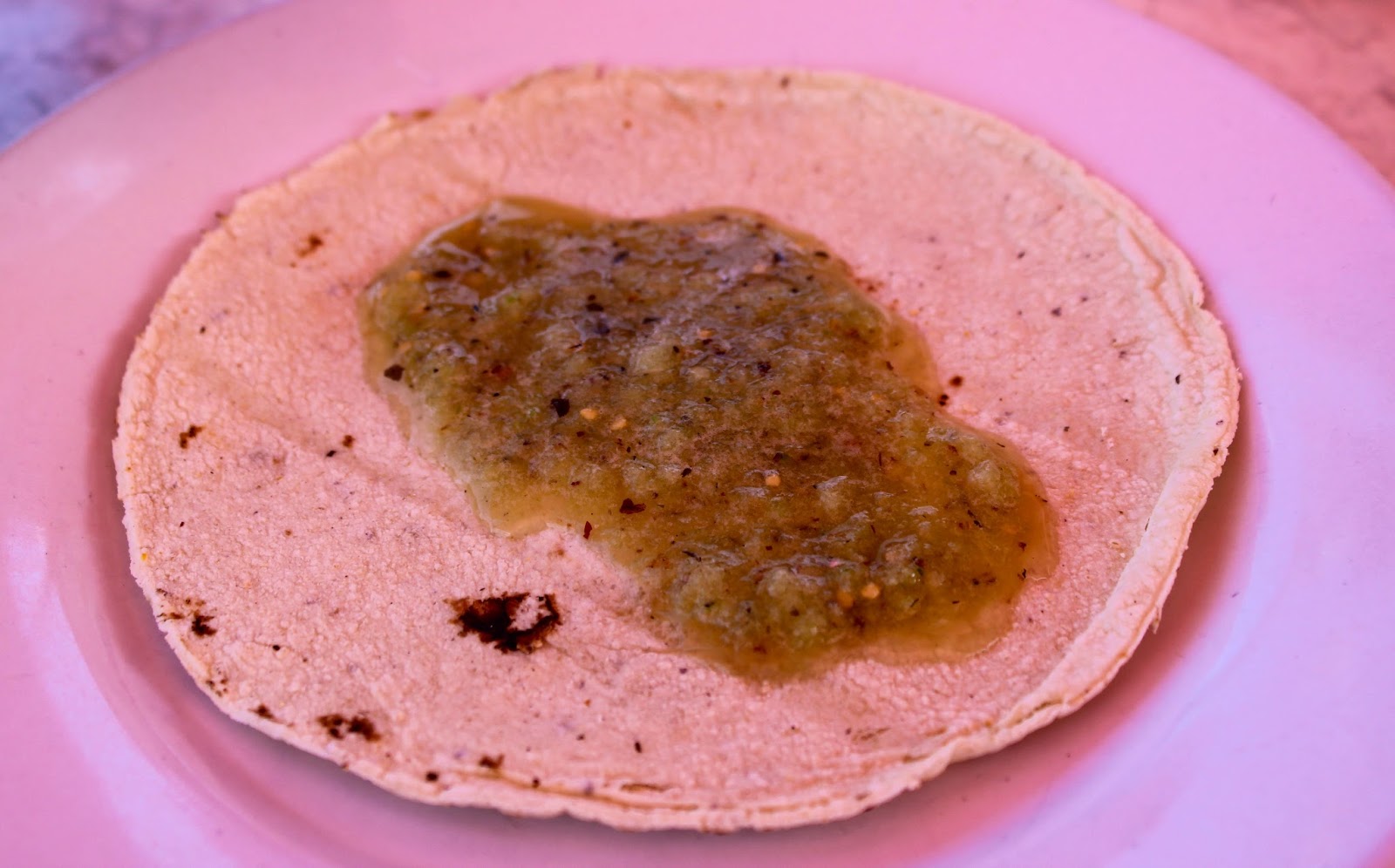 Cannundrums: Jumiles (Stink Bug) Salsa