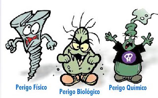 Fernanda Stoduto Ferreira: Perigos biológicos, químicos e físicos nos ...