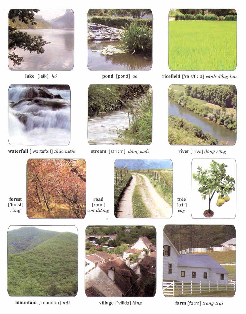 Learning Vocabulary with Pictures: Countryside