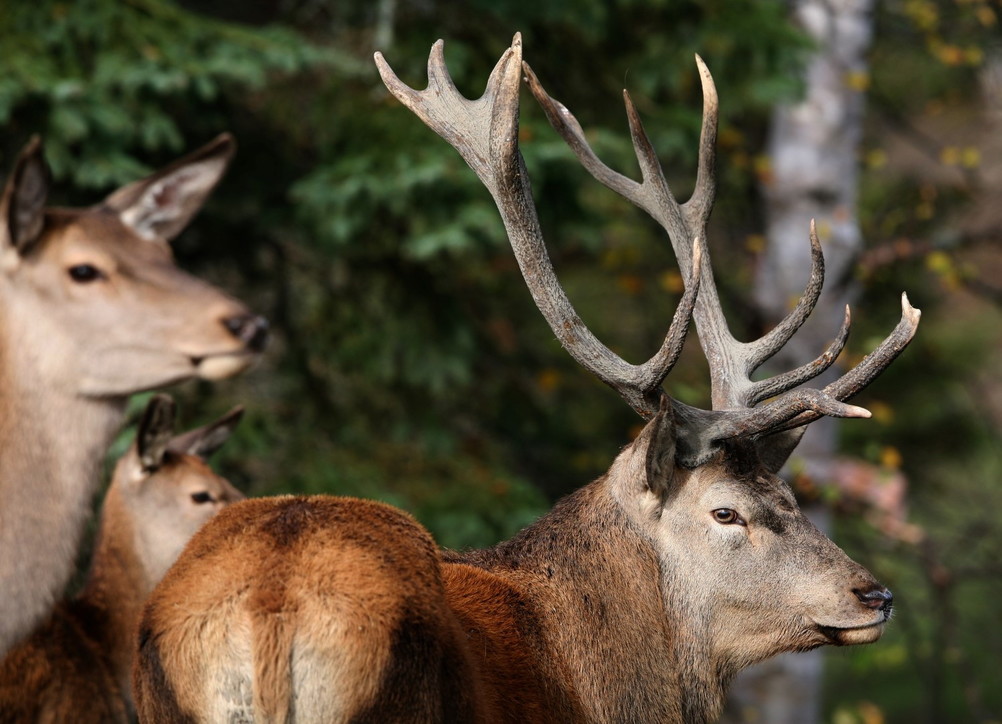 A journey through the wonders of Quebec
