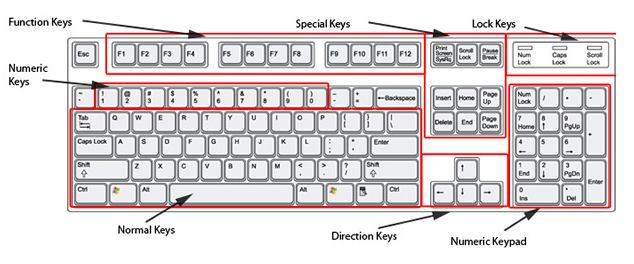 5 jenis alat input beserta fungsinya. | Kumpulan Tugas TKJ
