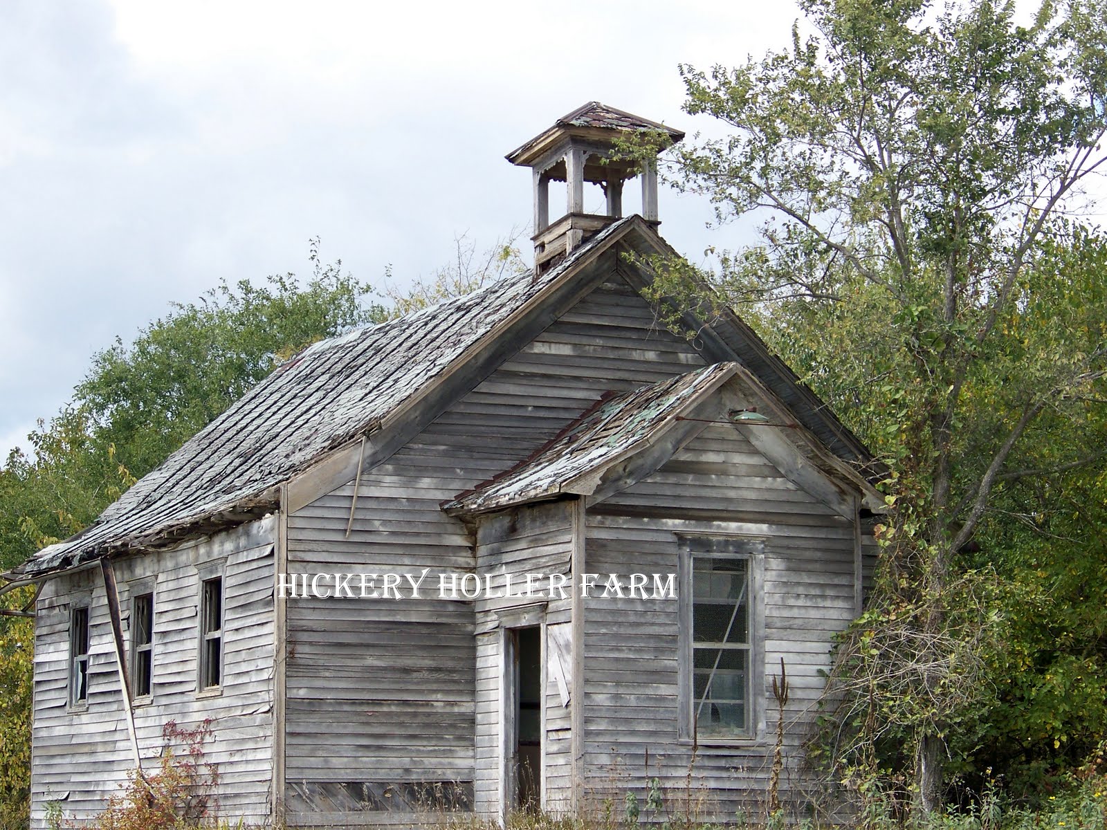 Hickery Holler Farm: A Glimpse Of What America Has Lost