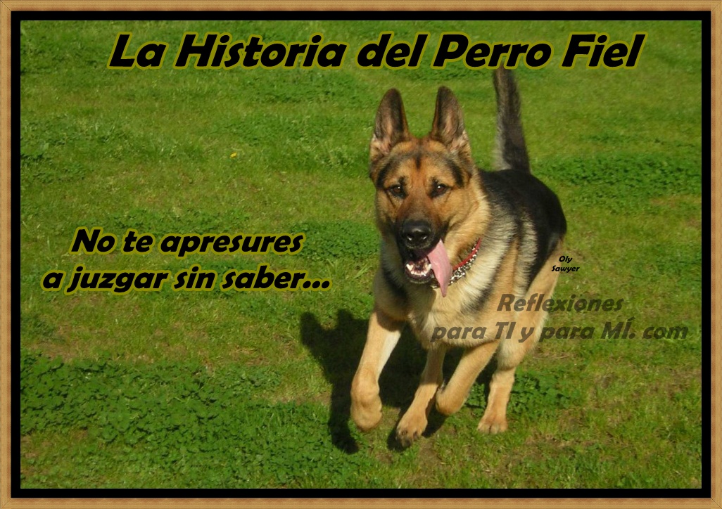Reflexiones para TI y para MÍ: ***@ La Historia del Perro Fiel (Reflexión)