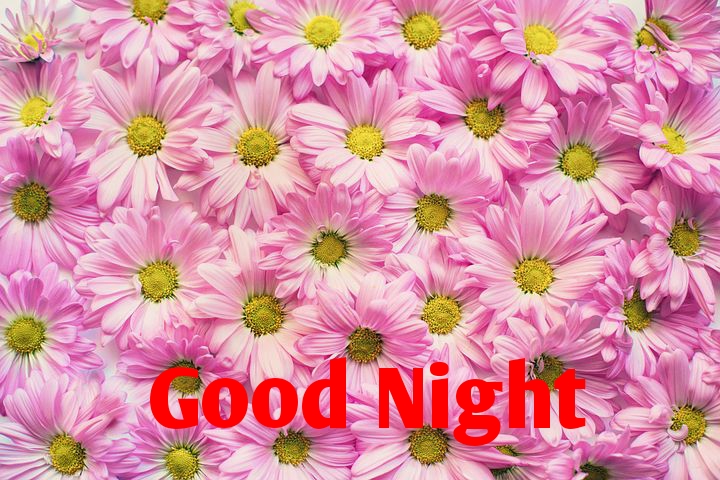 Top 10 Good Night images, Greetings, Pictures Whatsapp-bestwishespics ...