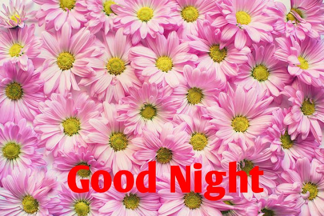 Top 10 Good Night images, Greetings, Pictures Whatsapp-bestwishespics ...