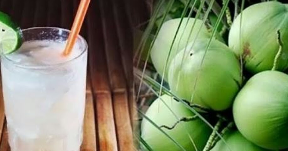 Manfaat Air Kelapa Muda Dan Dagingnya Untuk Kesehatan - Mukhlas.com