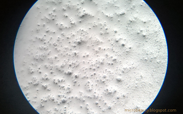 The Wonderful Microworld: Cream, ointment and lotion through the ...