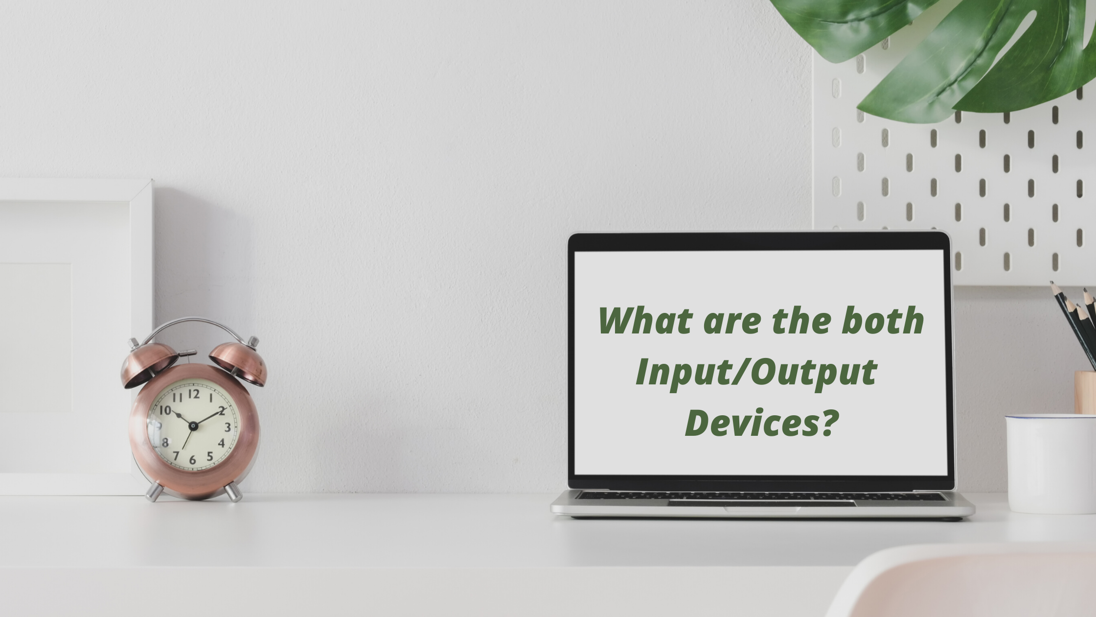 What are the both Input/Output Devices?