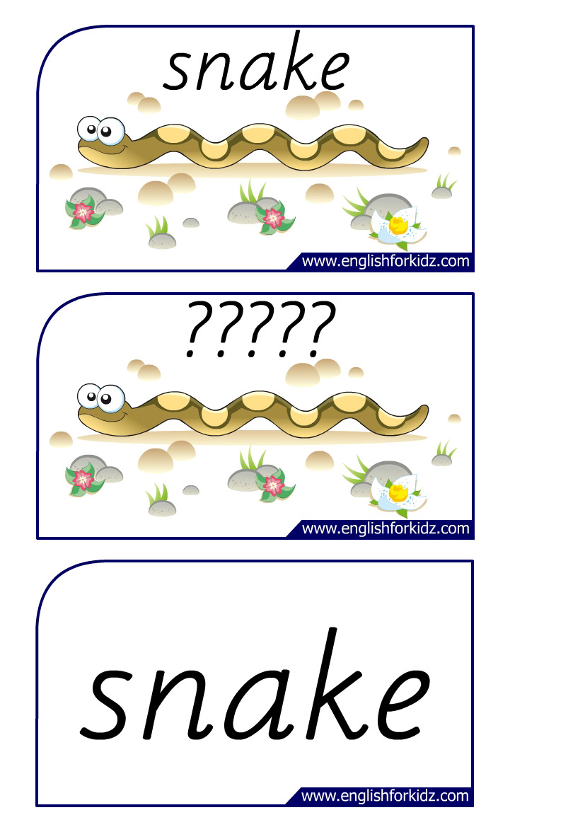 Wild Animals Flashcards