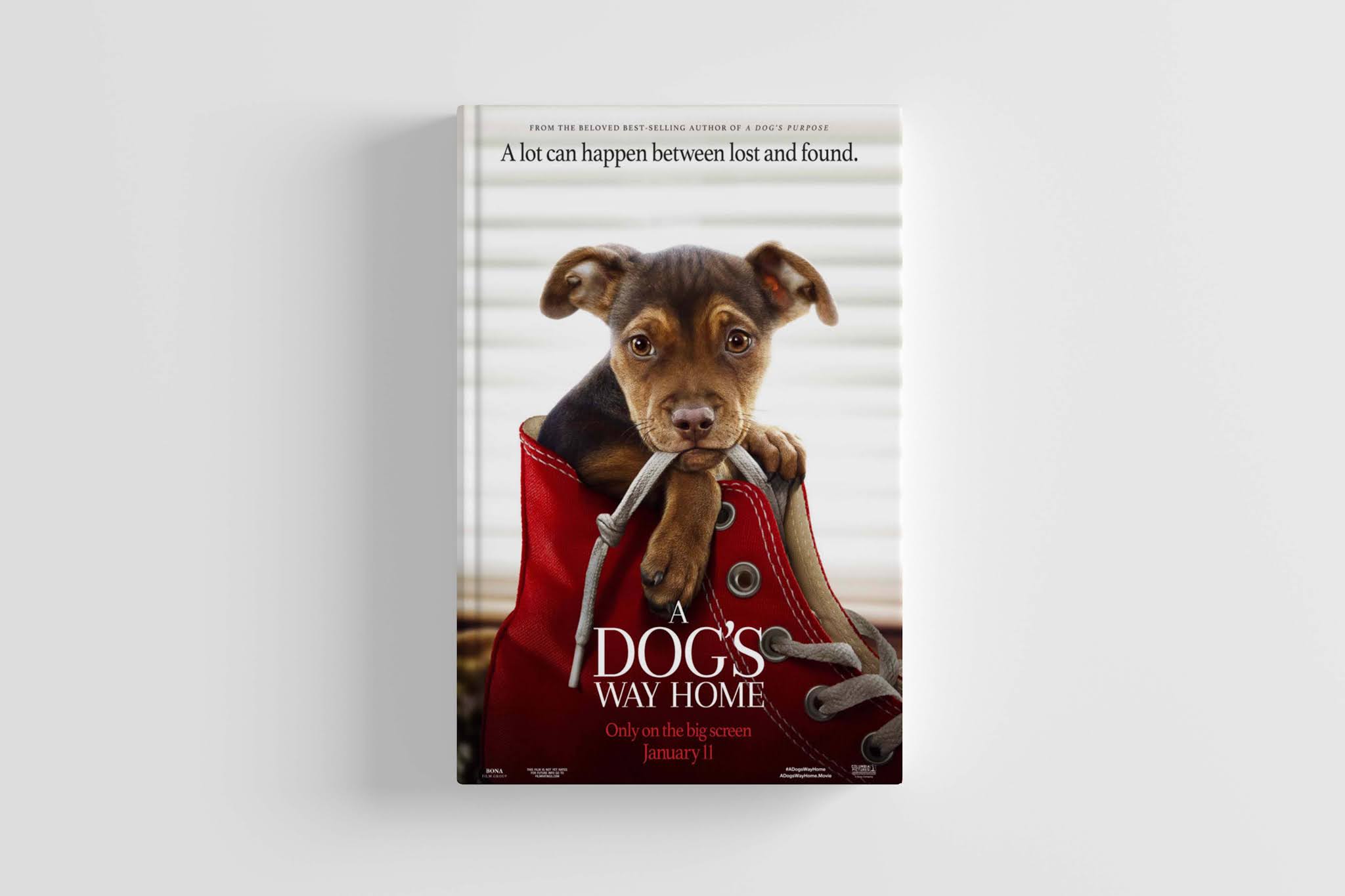 Dog Related Book Cover Design | Top Education & Technology Support Center