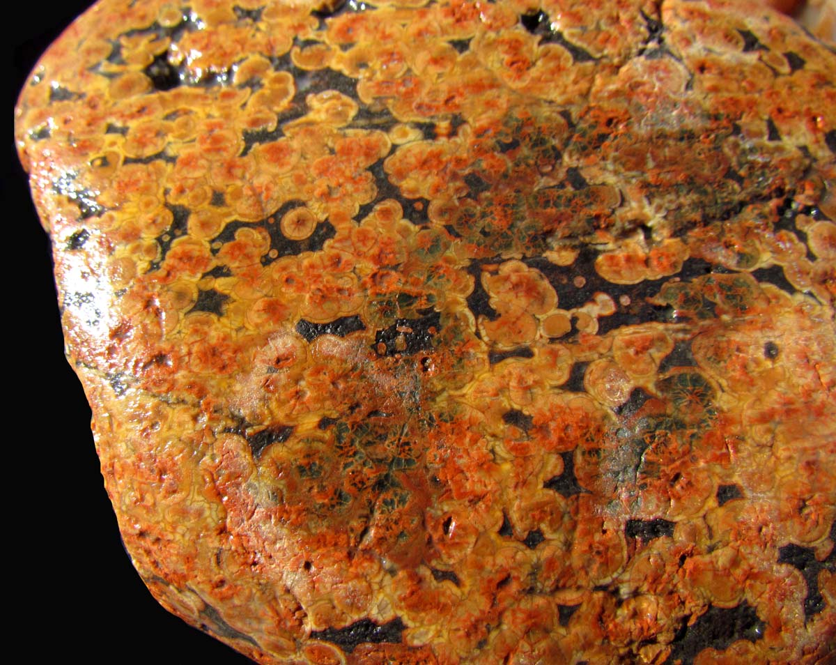 The Agatelady: Adventures and Events: Muskallonge State Park's Rock On ...