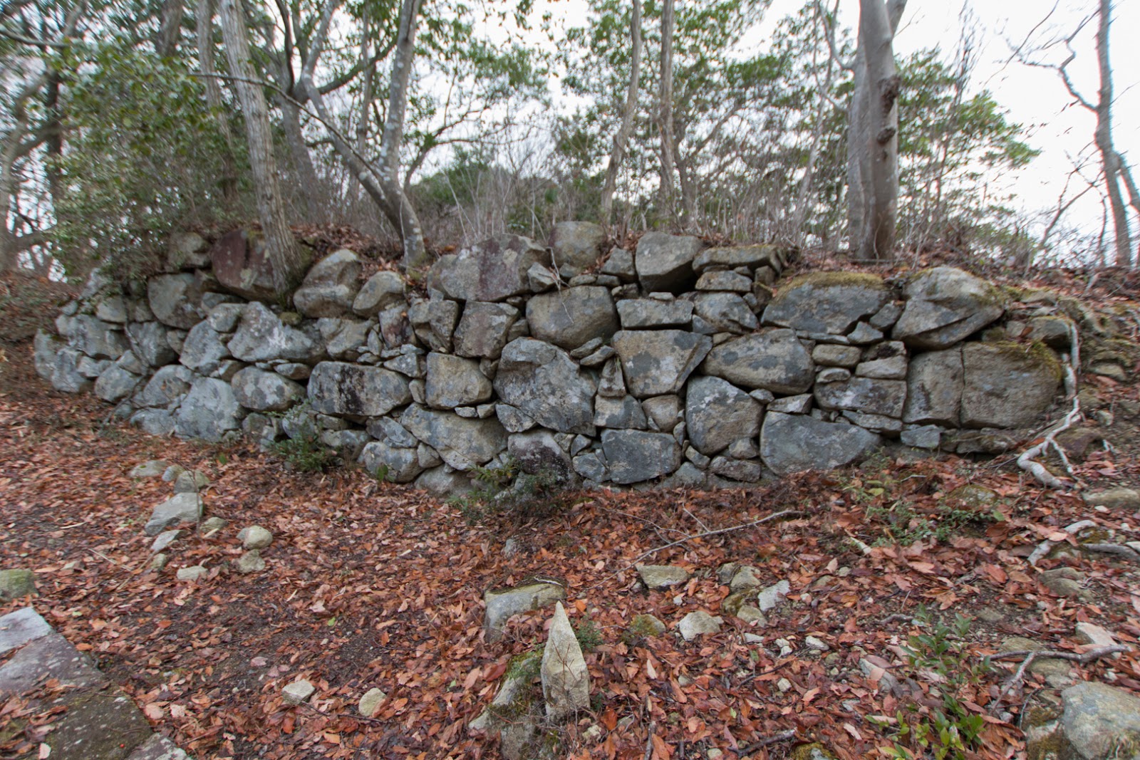 Kannonji Castle -History of warlord next to capital (2) economic ...