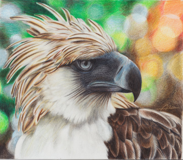 OkiemShifu: Haribon Dumog/Wresling