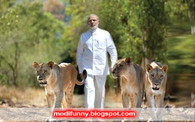 Feku Narendra Modi with lions - Modi Funny