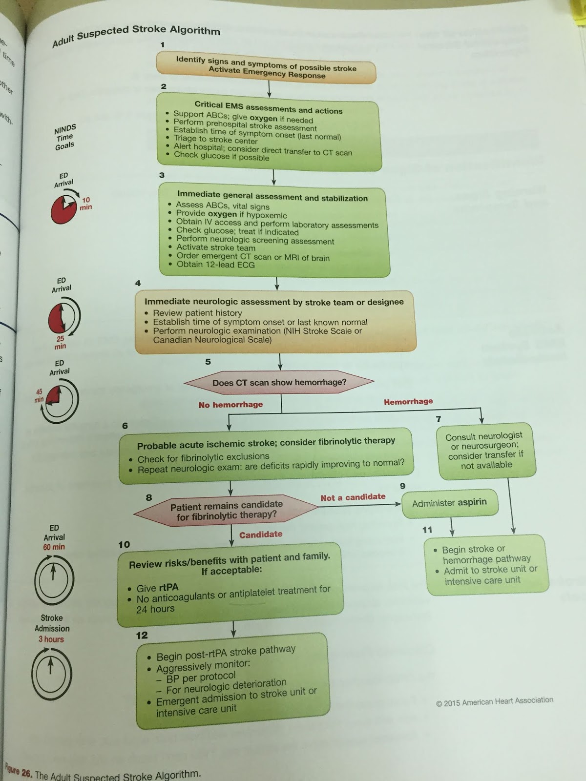 ACLS CHAPTER 5(ACLS CASES -MAIN CHAPTER OF ACLS)