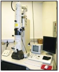 Mikroskop - Jenis,fungsi,bagian, dan cara kerja ~ Giam School