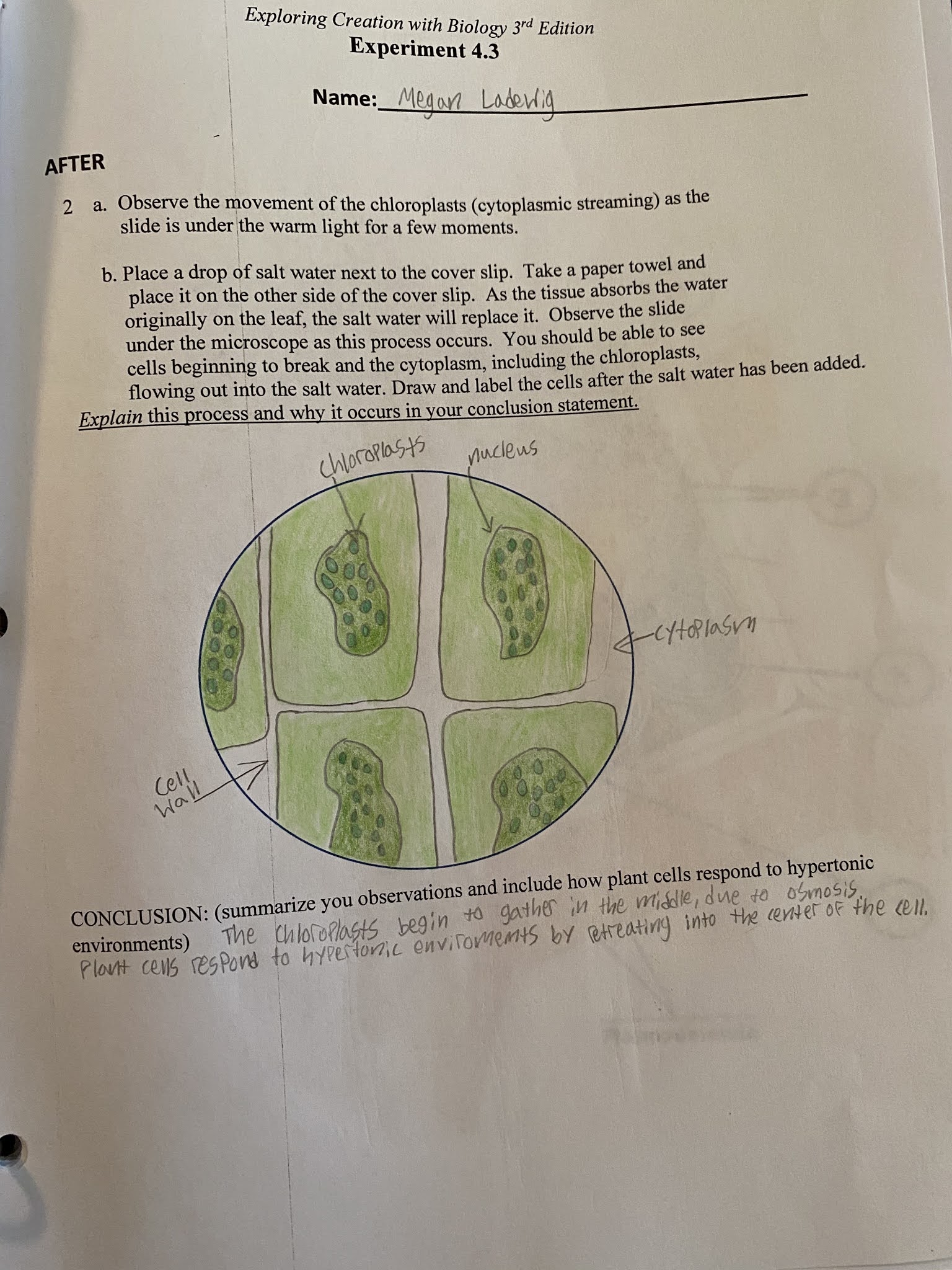 Homeschool Happenings: Apologia Biology