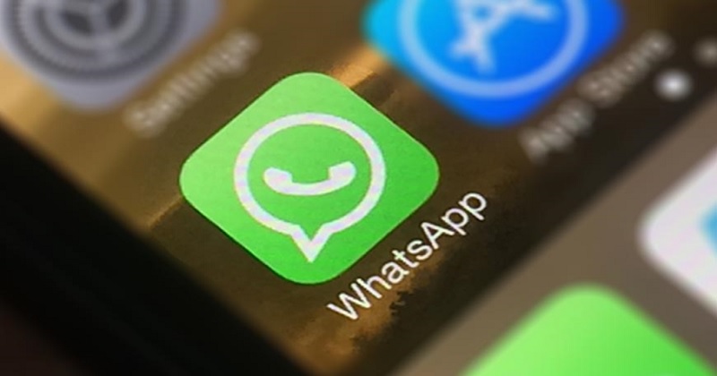 Know Who Has Read Your Whatsapp Group Message On Android IPhone With This Trick New Study Club know-who-has-read-your-whatsapp-group-message-on-android-iphone-with-this-trick-new-study-club