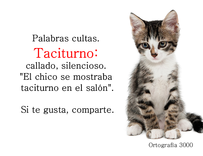 Significado de la palabra taciturno - Ortografía 3000