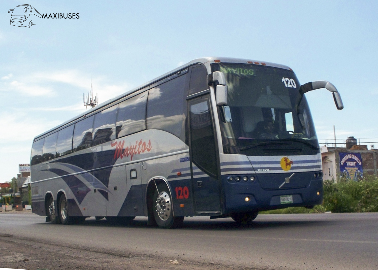 MAXIBUSES: AUTOBUSES LOS MAYITOS