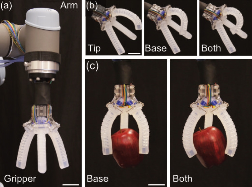 Modular Soft Robotic Gripper - Mechatronics Engineering