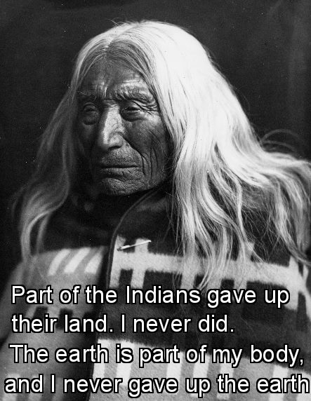White Wolf : 7 Great Quotes From Native Americans on Embracing Your ...